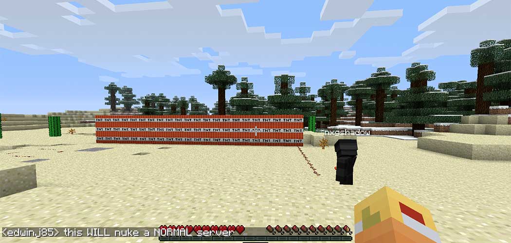 Minecraft on Raspberry Pi (large version) – beanz Magazine
